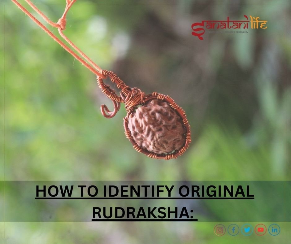 How to Identify Original Rudraksha | Expert Guide for Genuine Beads